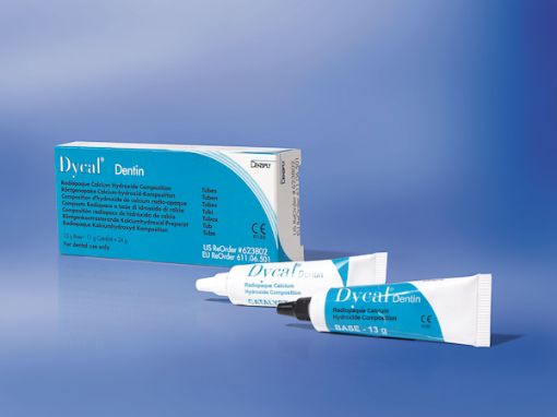 Dycal Tuber Dentin pack 61106501, 13g paste 11g katalysator og ...