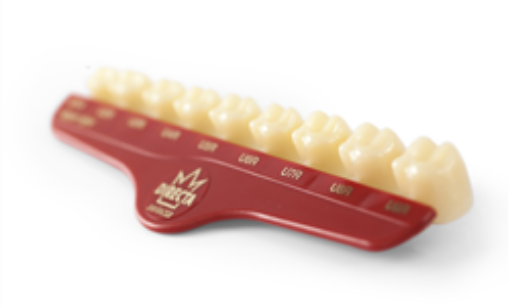 Directa Selecta L7R 609578, 3stk Lower Right- Dental Direct