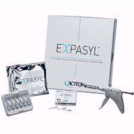 Expasyl Mini Kit 294100, 1 pistol, 6 kapsler 12 applikasjons spisser ...